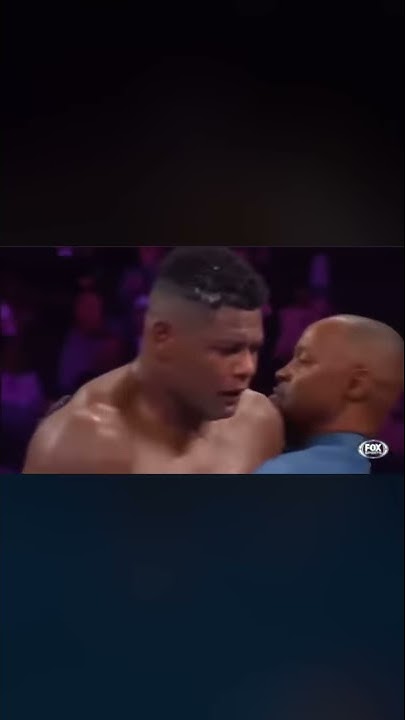 WILDER KNOCKS OUT LUIS RUIZ FIGHT #2!!! - YouTube