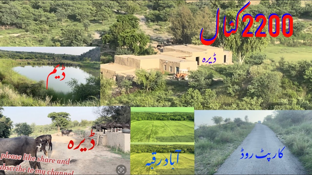 Agriculture Land For Sale Punjab India at Corrina Davis blog