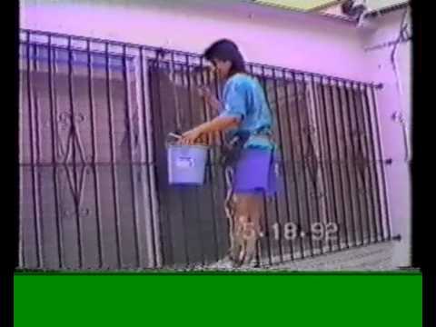 complete paraplegic using Parastep electrical stimulation climbs wall ...