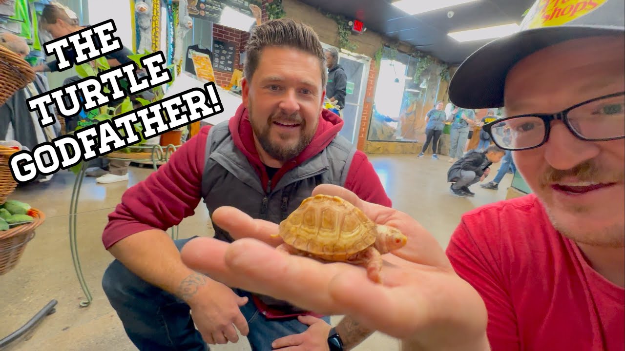 Turtle Crazy With Chris @GardenStateTortoise At @TheReptarium !!! - YouTube