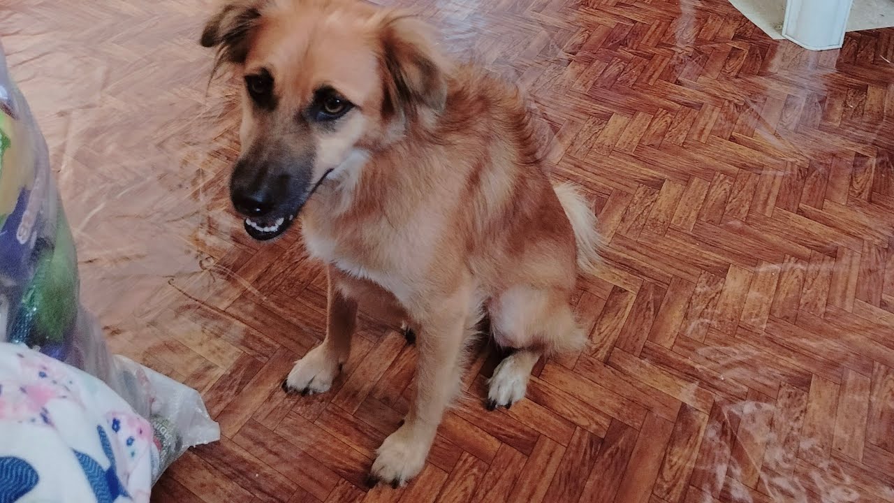 LIVE604 RELIVE - YouTube