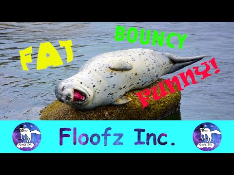 Fat and Bouncy - The Funniest Seals! - YouTube