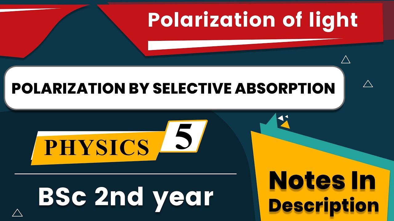 POLARIZATION BY SELECTIVE ABSORPTION | Polarization of Light | BSc 2nd ...