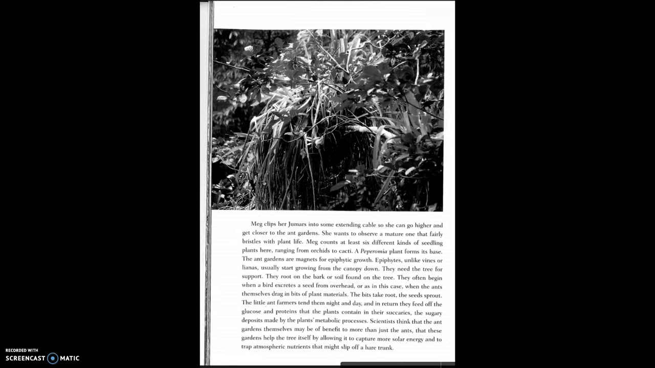 The Most Beautiful Roof in the World pgs 22-23 - YouTube