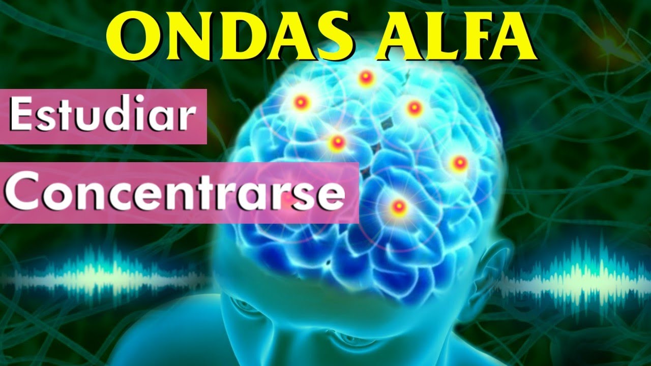 Música para ESTUDIAR con ONDAS ALFA 🎓 LEER 👓 CONCENTRARSE 📘 MEMORIZAR ...