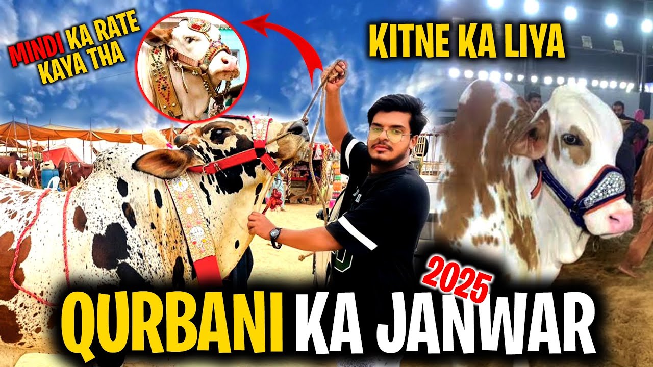 Qurbani 2025 Ka Janwar Le Liya | Kitne Ka Liya | Mandi Ka Rate Kiya Tha ...