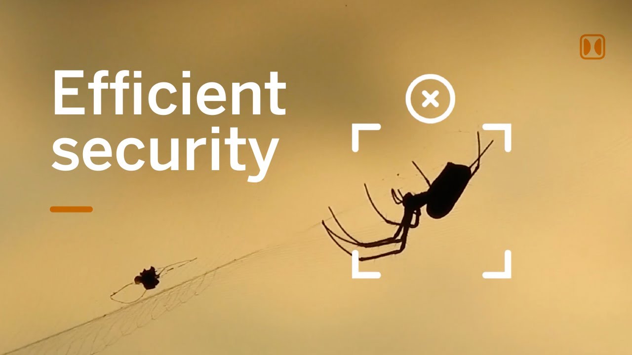 False Alarms: Improving Security System Accuracy in Outdoor Security ...