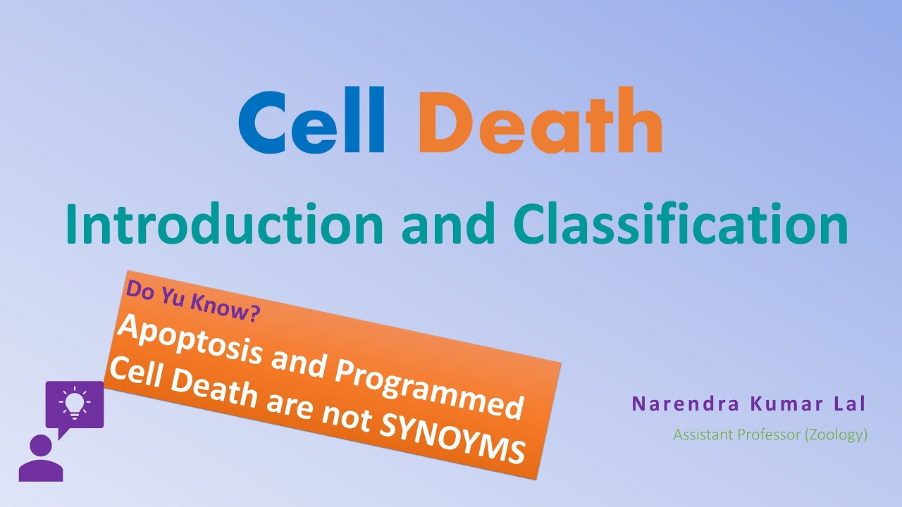 Cell Death Introduction and Classification #cell #apoptosis #programmed ...