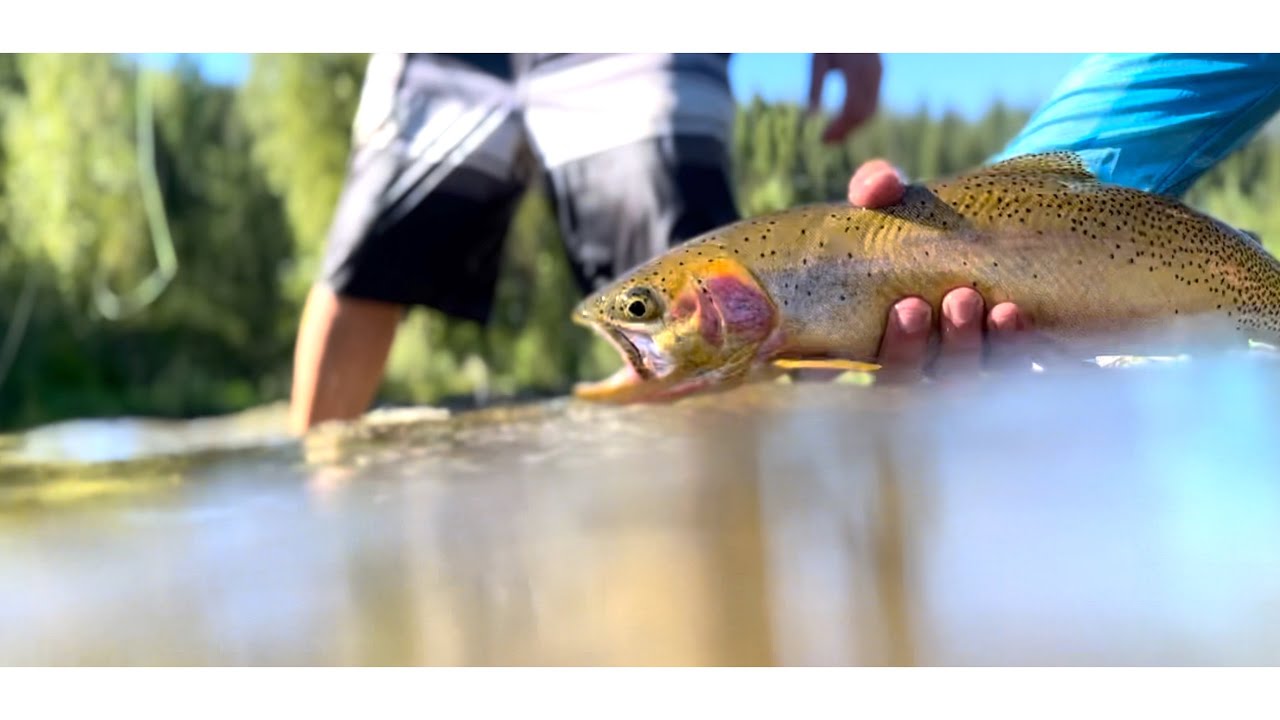 "Falling Stars" ~ Stick Figure -Fishing/Rivers/Mountains/Fly Fishing ...