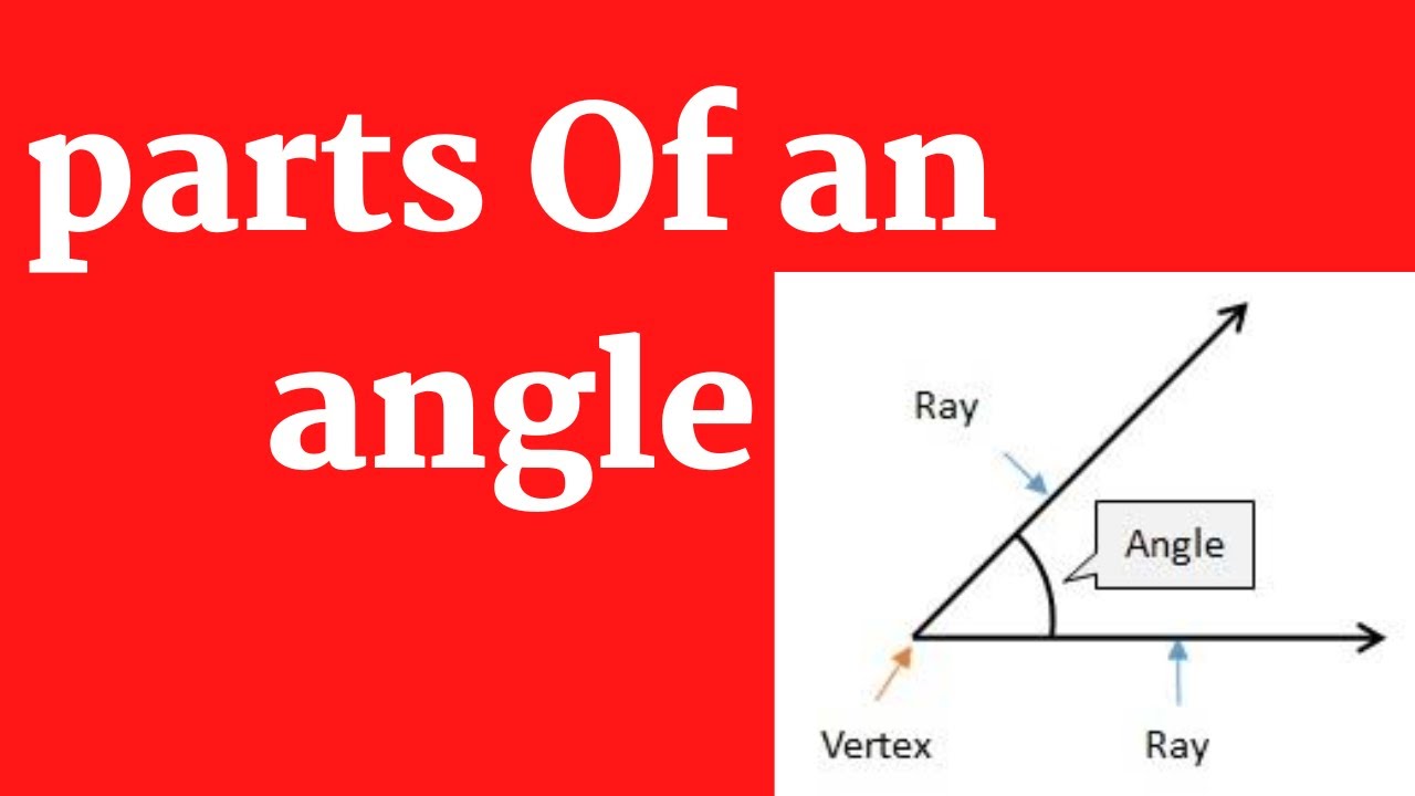 Parts of an angle| Geometry |@Educational Hub - YouTube