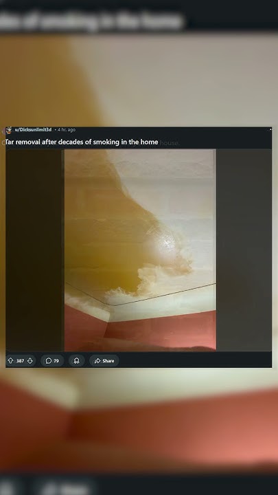 EP1 R/Mildly Interesting - YouTube