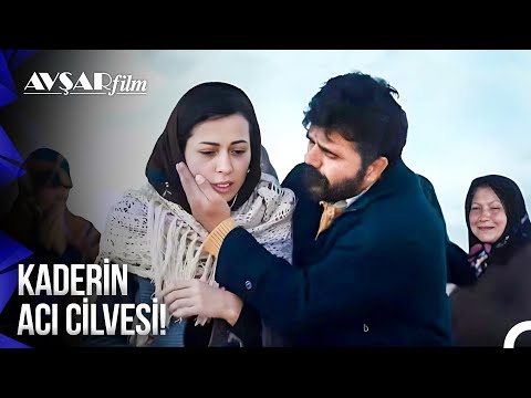 Zeliş'in Yuvasından Koparılma Hikayesi | Sevimli Tehlikeli