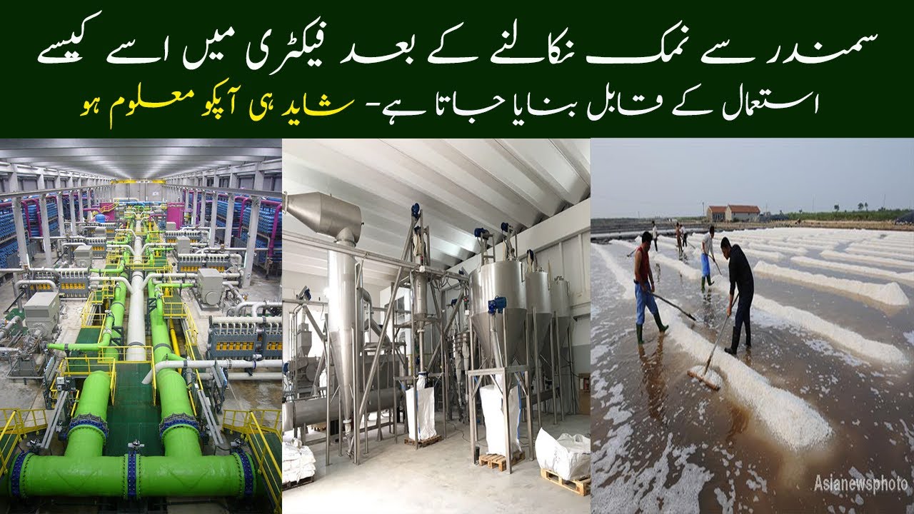 How Salt is Collect from Sea and Process in Factory || Salt Making ...