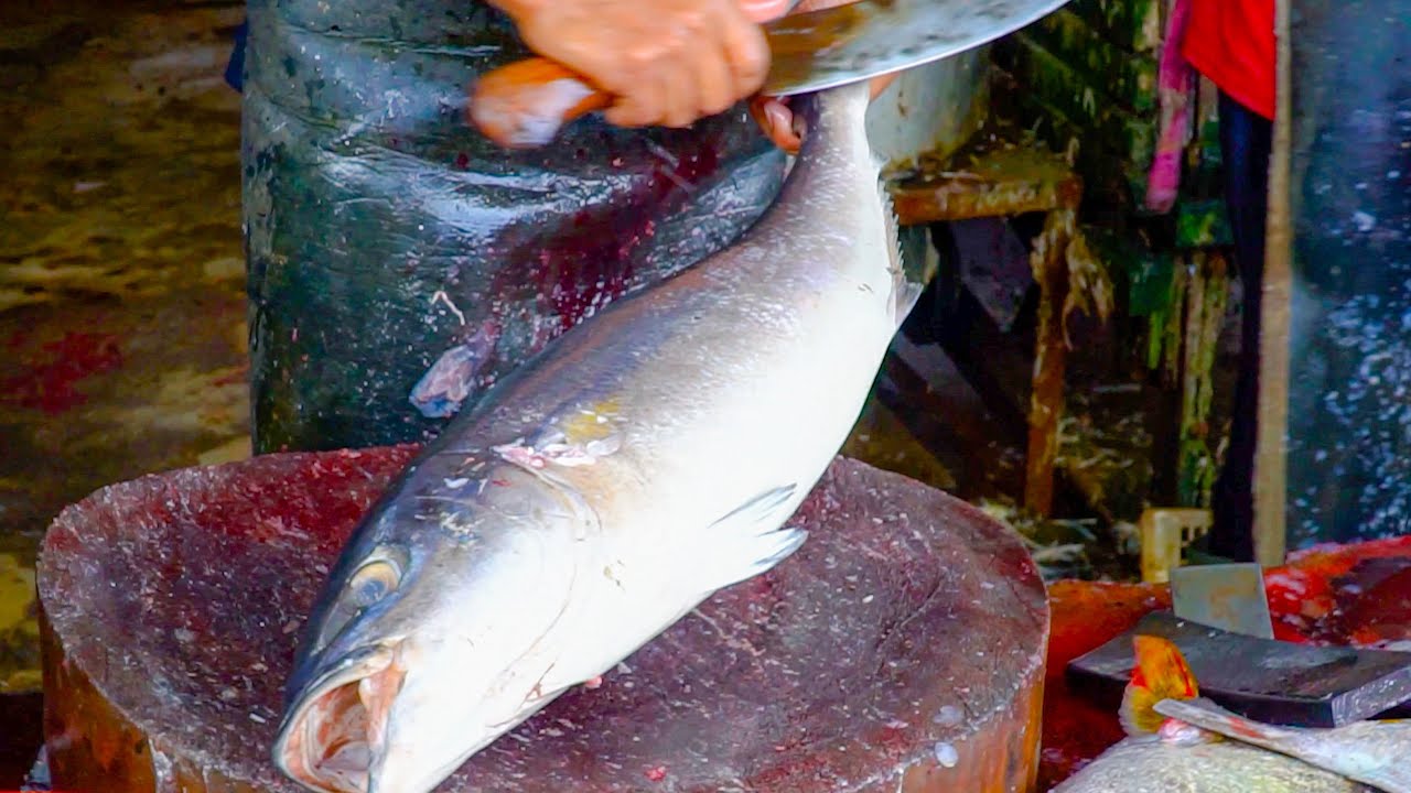 Amazing Fish Cutting || You Won't Believe the Fish Cutting Skills of ...