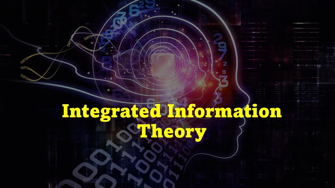 Integrated Information Theory #science - YouTube