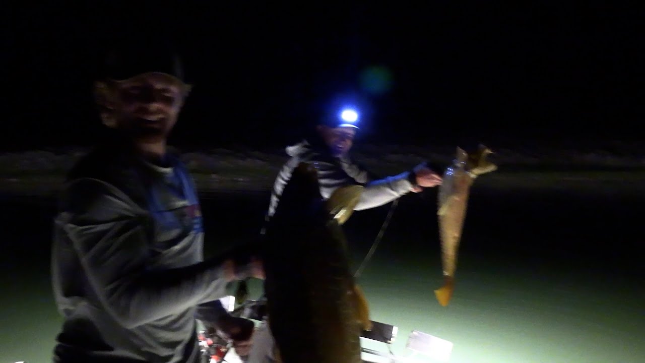 Bowfishing at night for giant carp 2025! - YouTube