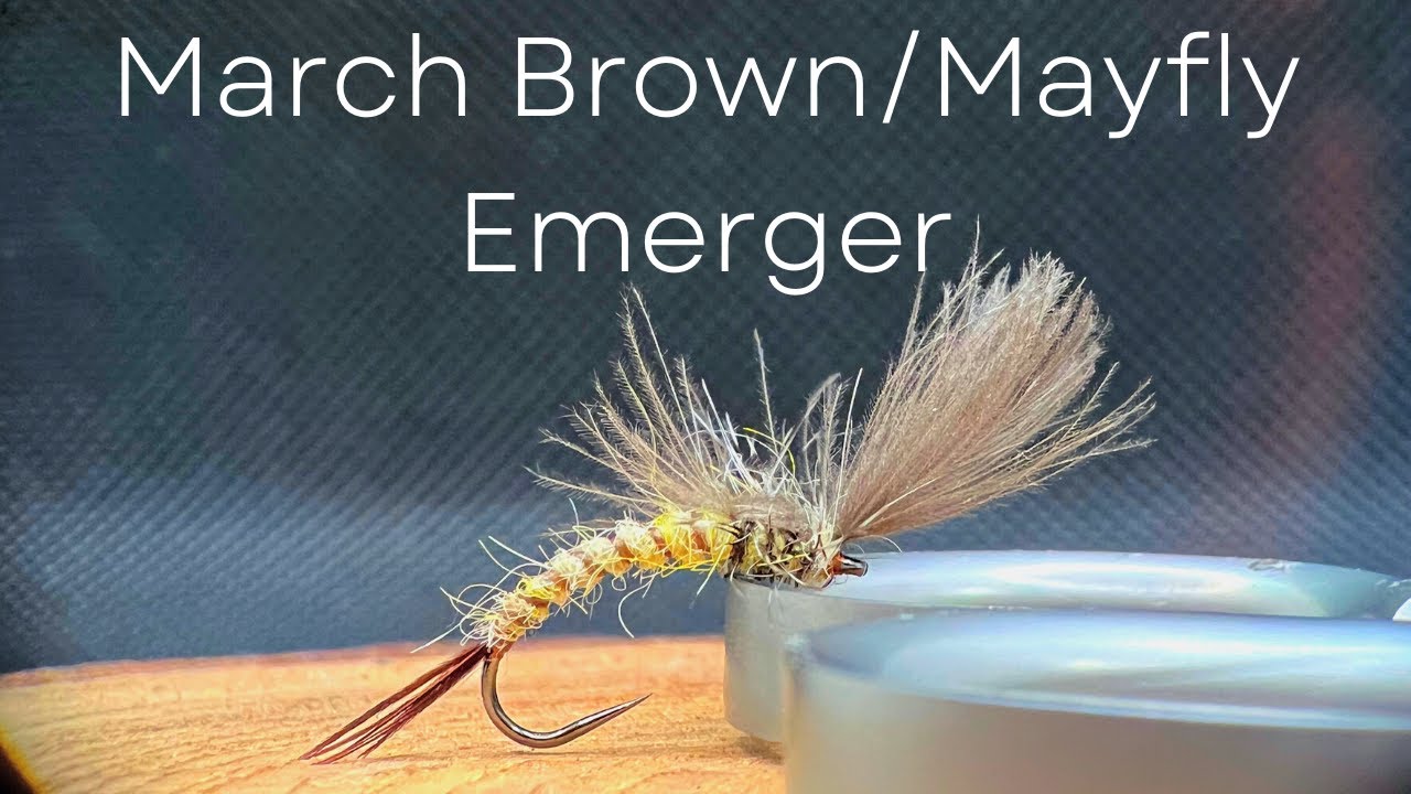 Trout & Grayling Fly Tying Tutorial - March Brown/Mayfly Emerger - YouTube