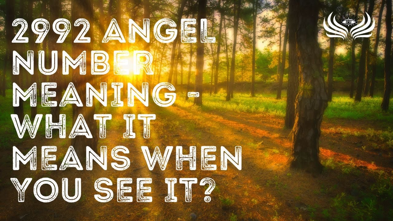2992 Angel Number Meaning 🌠 What It Means When You See It? - YouTube