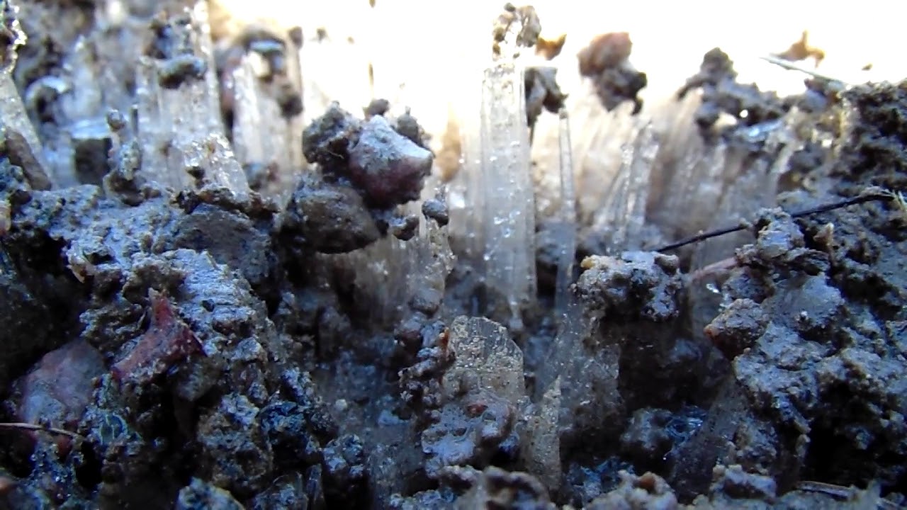 Needle Ice phenomenon - YouTube