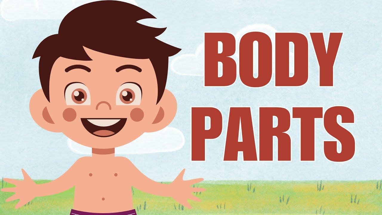 The Human Body for children - Body Parts for Kids | body parts names ...