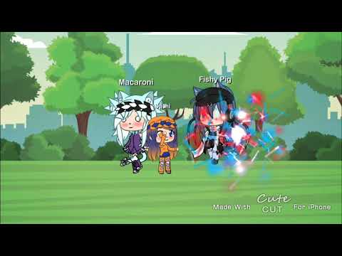 Happy birthday Ravioli