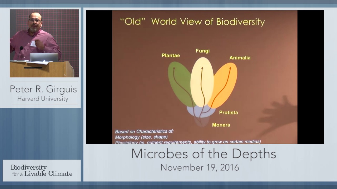 Microbes of the Depths with Peter Girguis - YouTube