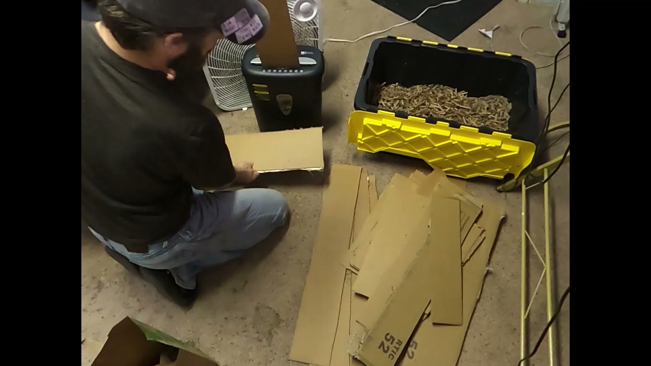 Shredding cardboard - YouTube