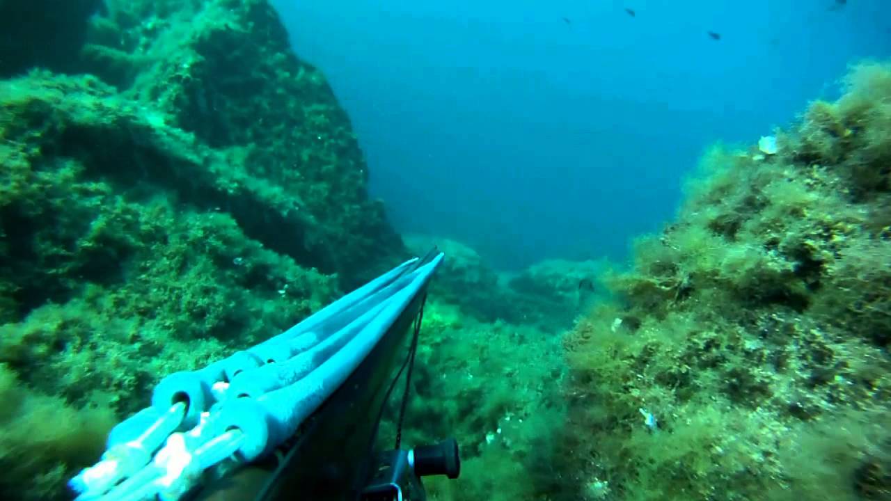 ψαροντουφεκο ροφοι 2014 - YouTube