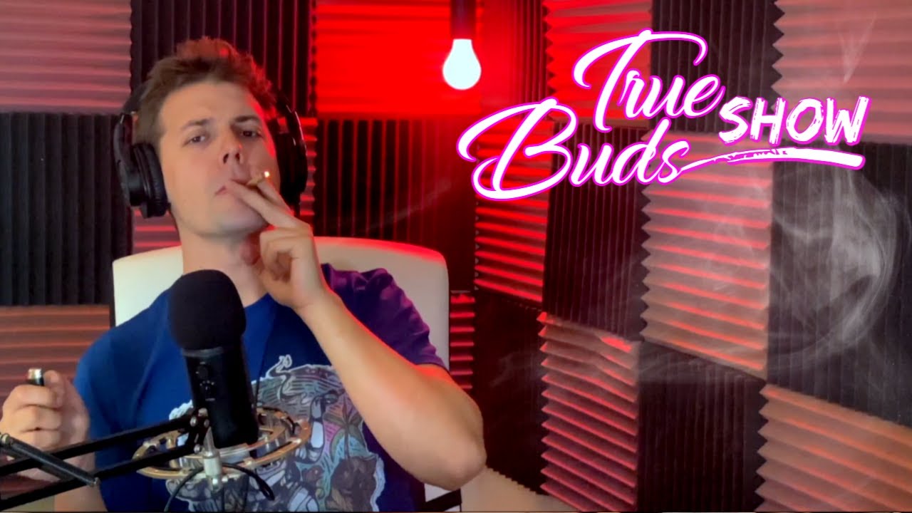 Murphy's Law, Weed News True Buds Show Clips - YouTube