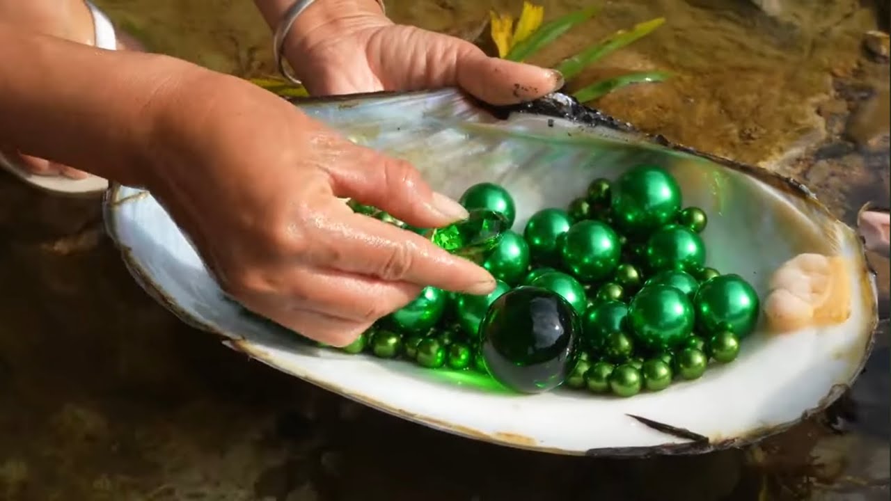 “Freshwater Pearls vs. Saltwater Pearls: Everything You Need to Know ...