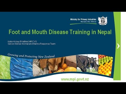 A presentation about MPI's foot-and-mouth disease training in Nepal ...