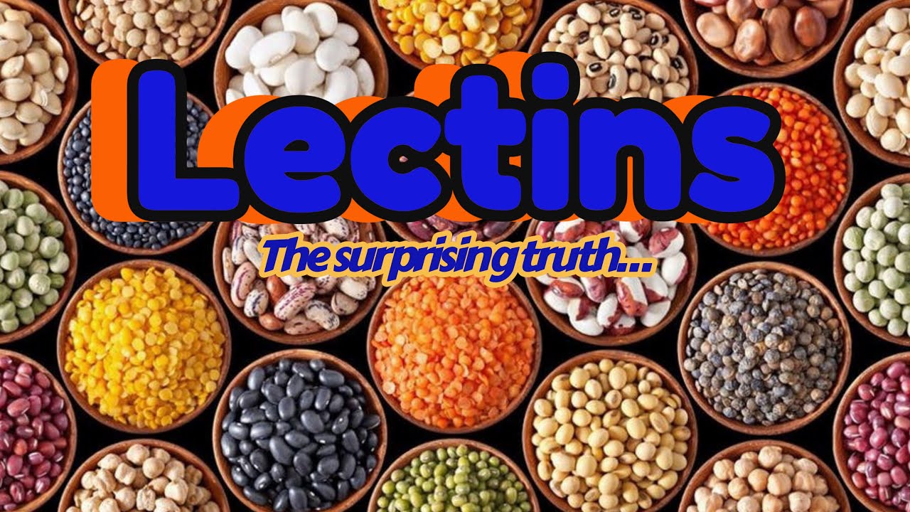 Understanding Lectins: How These Plant Proteins Affect Your Health and ...