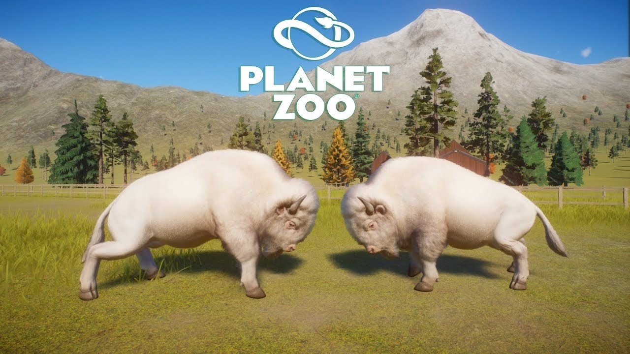Every Albino Animal Fights in Planet Zoo - PLANET ZOO - Planet Zoo ...