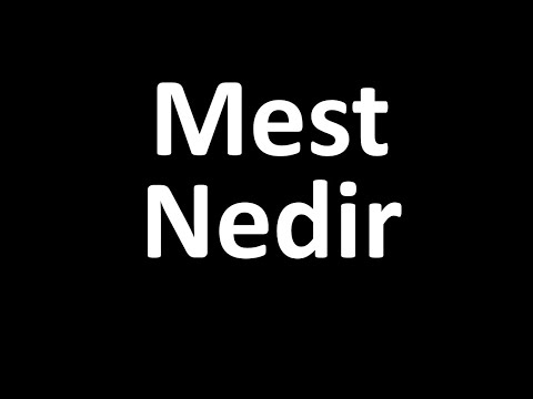 Mest nedir? Mes nedir?