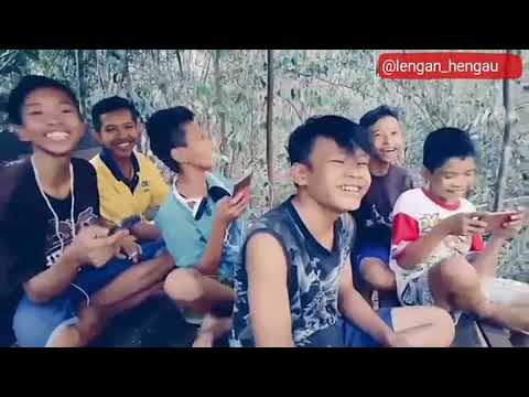 Memek coli