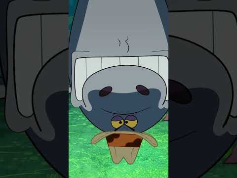 Trapped #Zigandsharko Zig & Sharko | Cartoon for kids