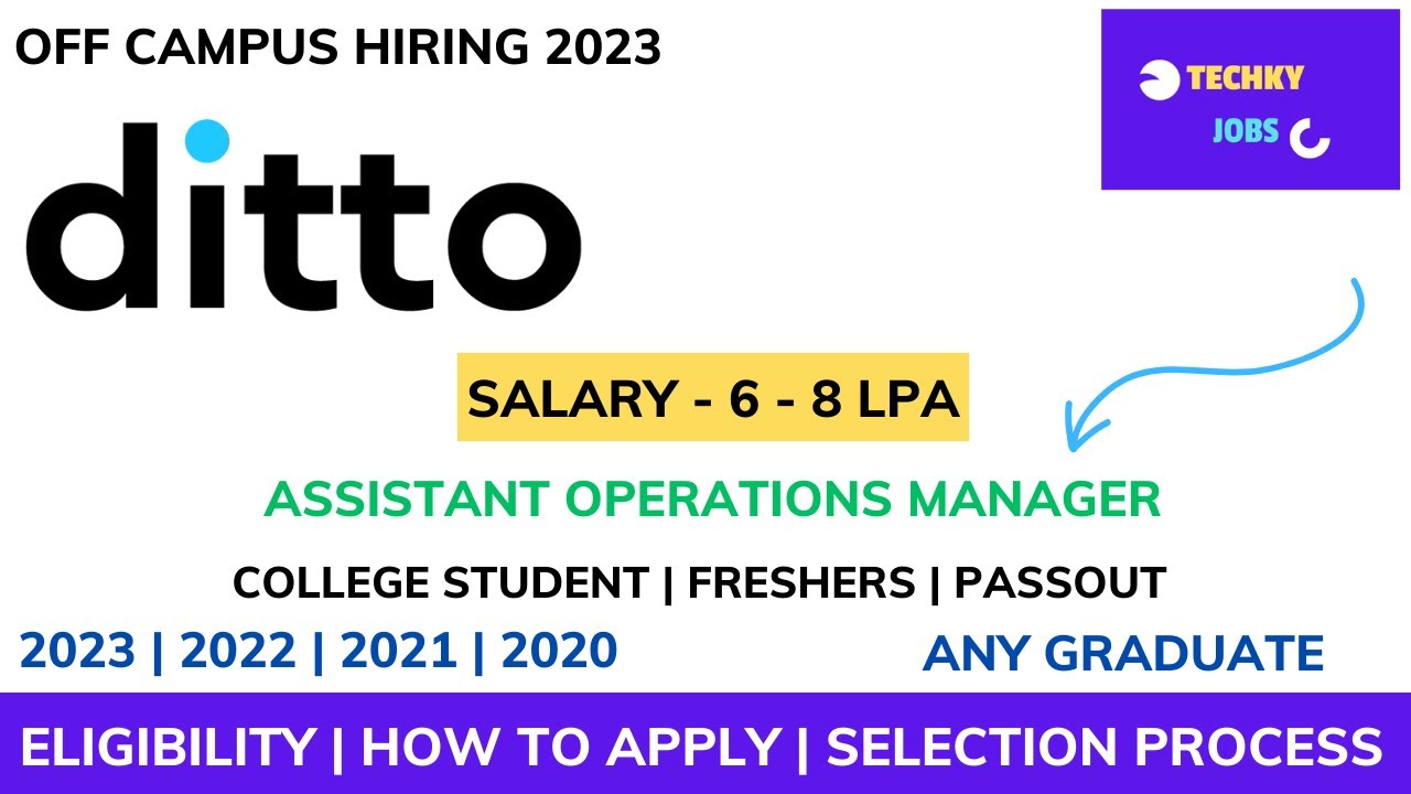 Ditto careers work from home | Off campus placement | Recruitment 2023 ...
