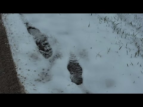 Search continues for missing Ontonagon County teen Cam Besonen