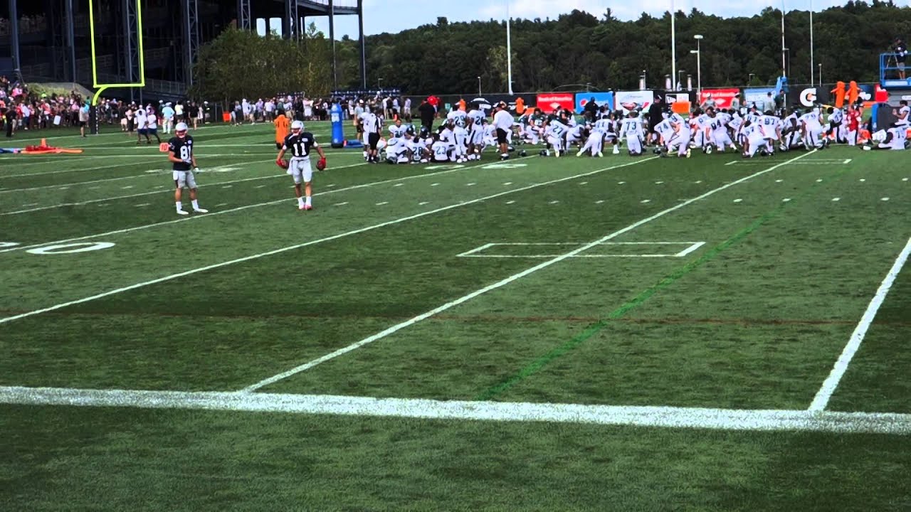 Danny Amendola juggling catch - YouTube