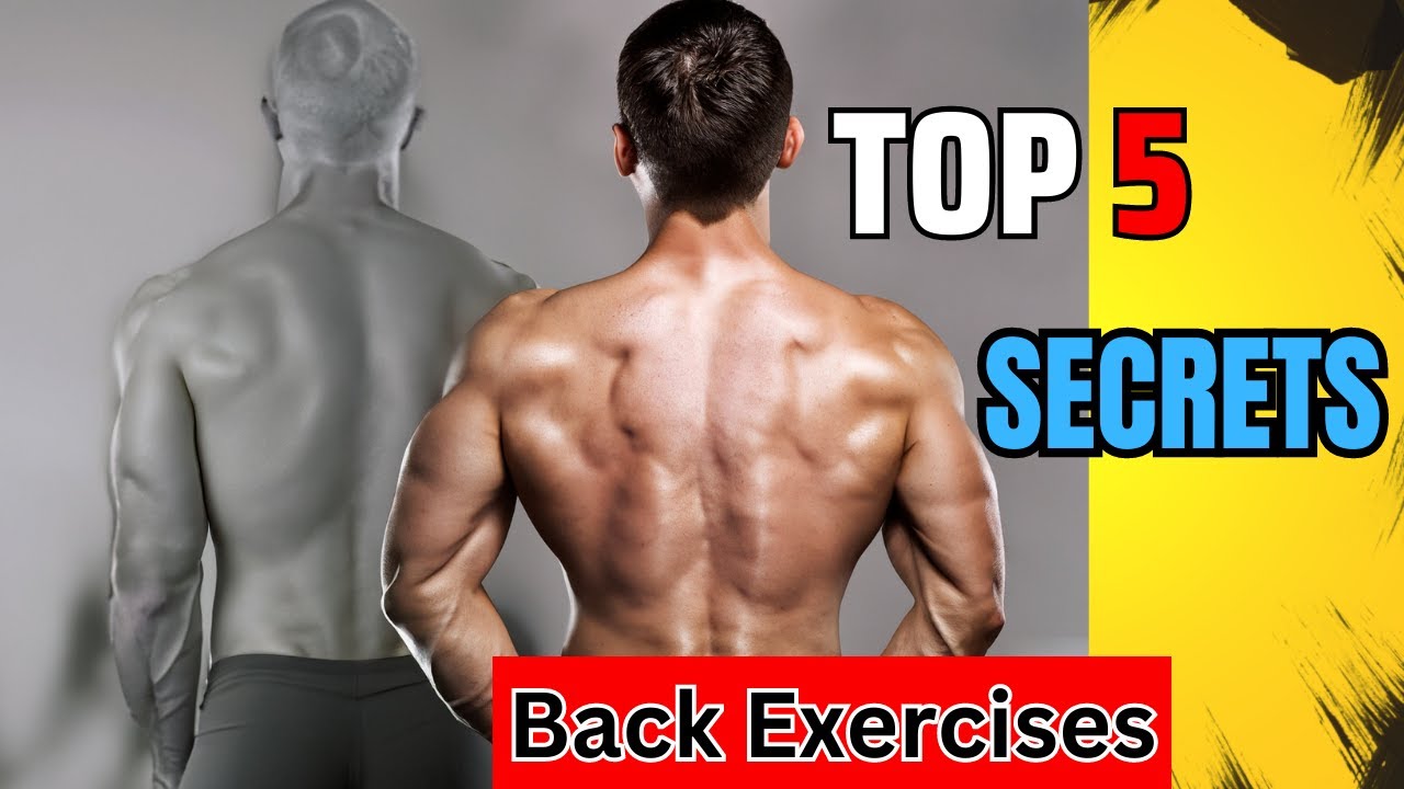 99% GUARANTEE OF RESULTS IN 3 WEEKS, BACK BODY EXERCISES FOR MEN IN GYM ...