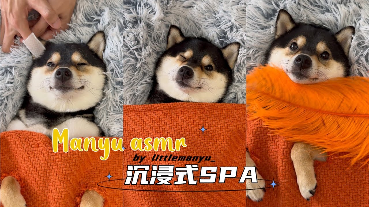 【ASMR】曼玉Manyu沉浸式护理和保养 | 橙色心情 - YouTube