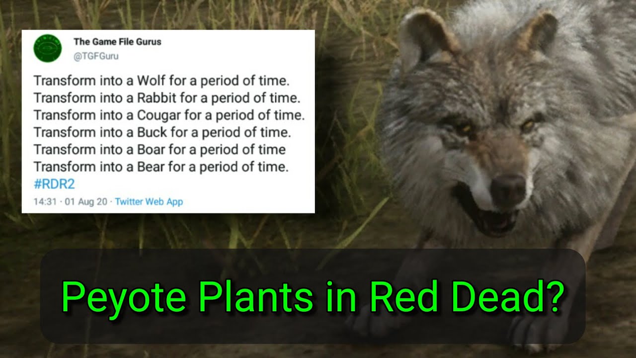 Peyote Plants coming to Red Dead Online? - YouTube