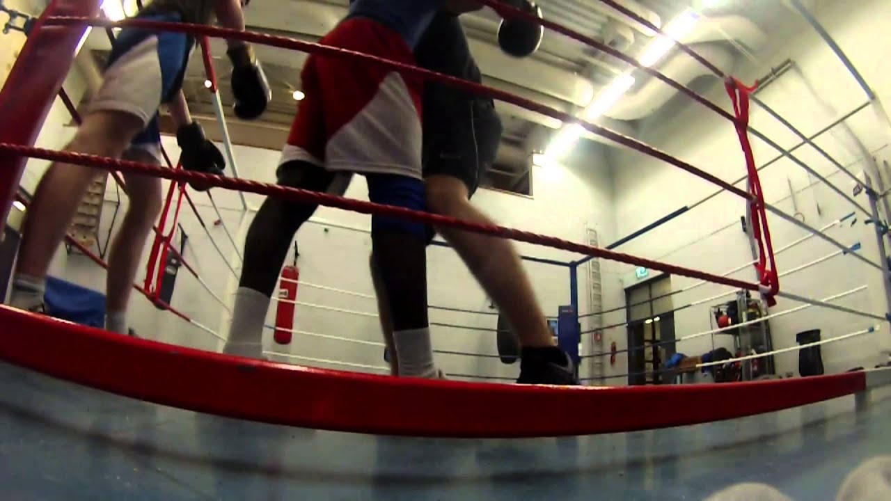 See Things From A Champion's Point of view - DCU Boxing - YouTube