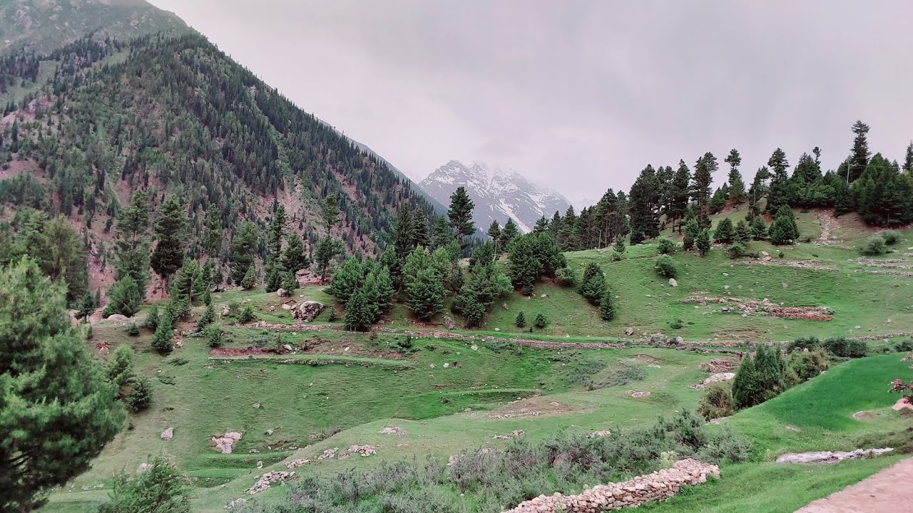 Rama Meadows, Astor Valley GB 08/07/2023 - YouTube