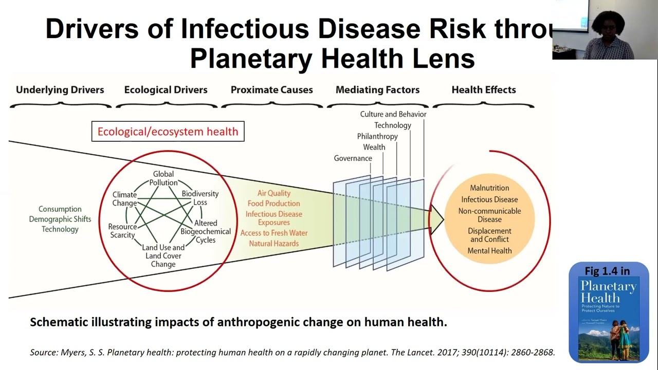Planetary Health Framework - YouTube