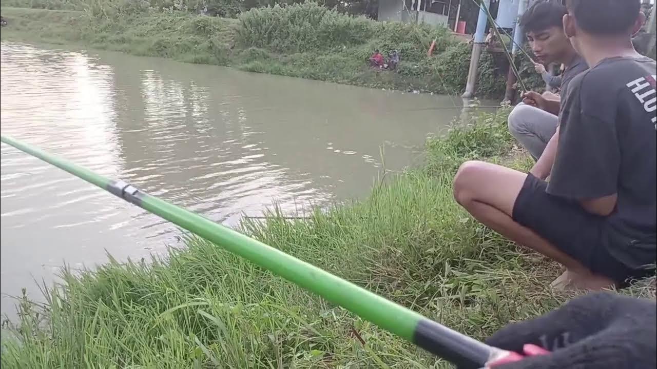 amazing!!! mata pancing,mancing mujair Nila full strike,#fishing - YouTube