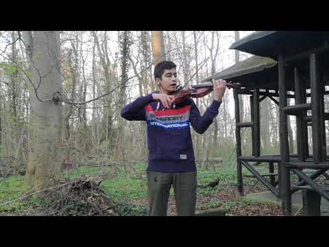 Ali Insan - Bahar Gelsin Karsi Daga Cikayim