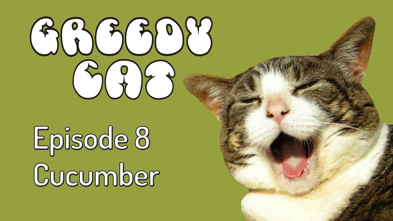 Greedy Cat - Episode 8 - YouTube