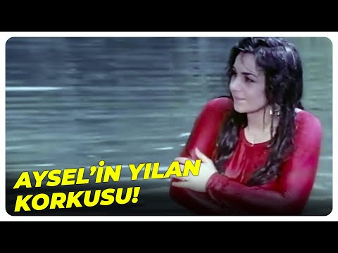 Aysel, Yusuf'tan Utandı! | Kader Arkadaşı - Cüneyt Arkın Eski Türk Filmi