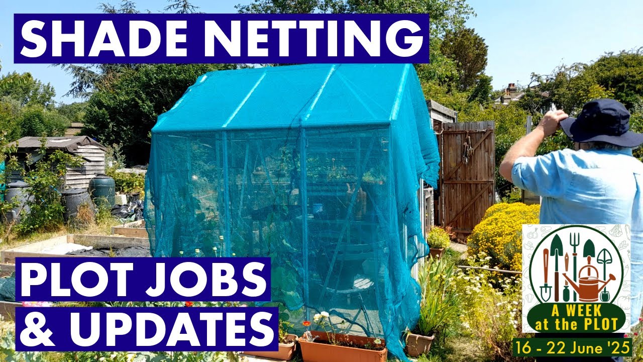Germination, Shade Netting, Great Green Barn's Gardens & Chat - YouTube